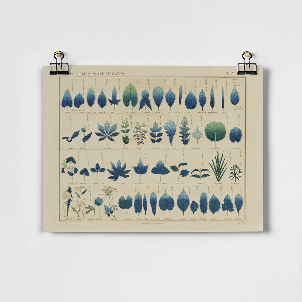 Japanese Shapes of Leaves & Flowers Fine Art Print – Roomytown